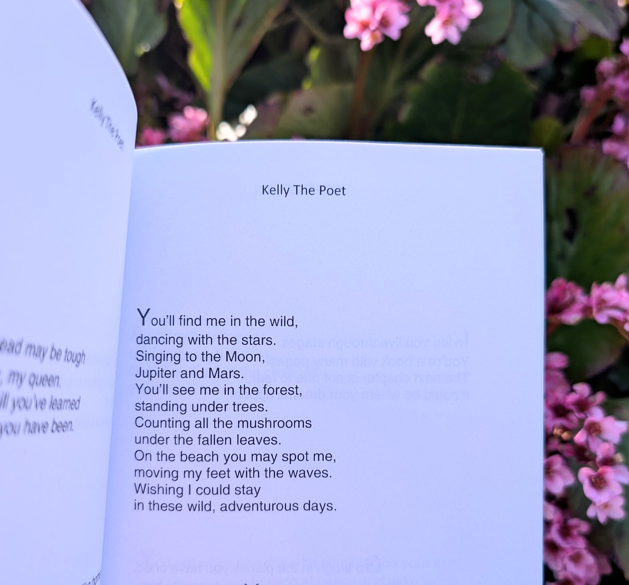Kelly The Poet